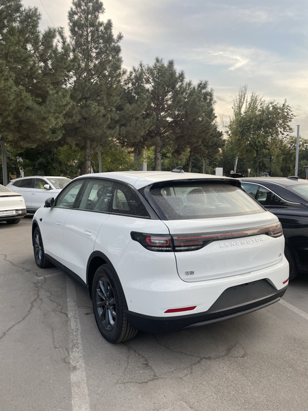 Leapmotor C11 Electric