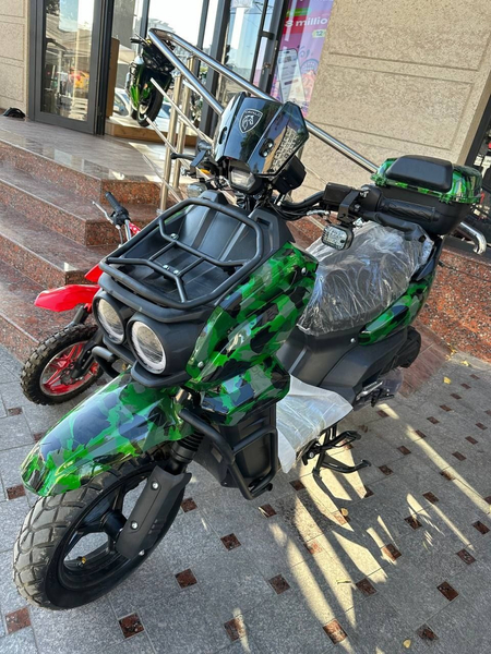 Moto, skuter kotta assortmentda