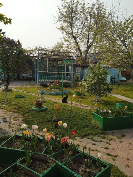Дача в Чингельды