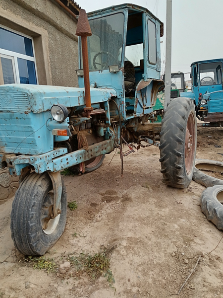 T 28 kafolati xolati
