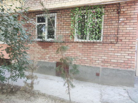 Kirib yashashga tayyor bez maklir