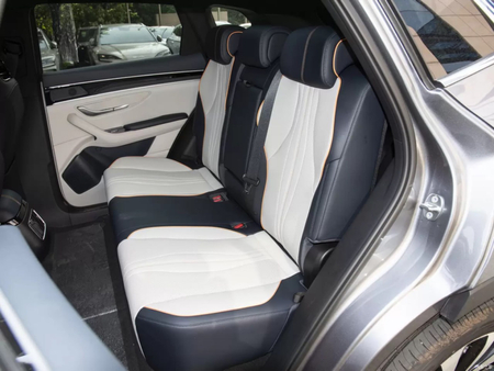 BYD Song Plus chempion 605 optom 5ta