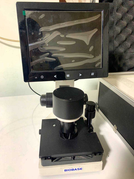 Microskop displey