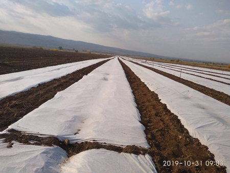 Agrovolokno ulgurji narxda