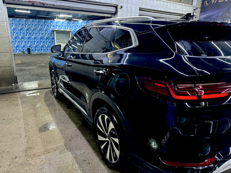 BYD чемпион 605 км фул