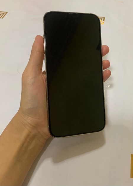 iPhone 13 pro max