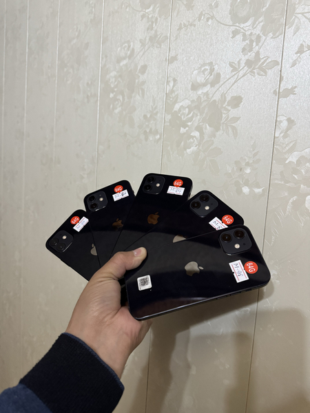 iPhone 12 & 11pro Max