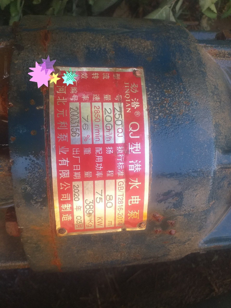 Gluninniy nasos 75 kv