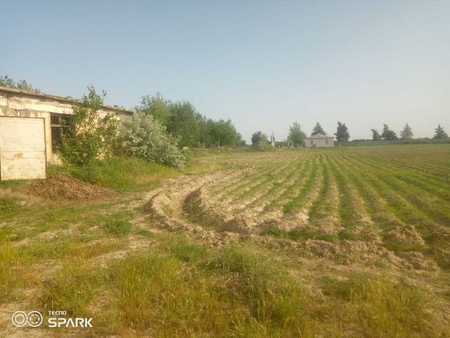 Дала шийпон сотилади