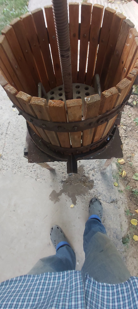 Продаётся виноградный пресс