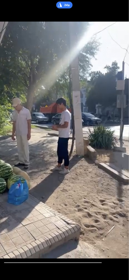 Бутка гатовый бизнес