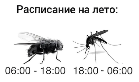 Москитные сетки+жалюзи