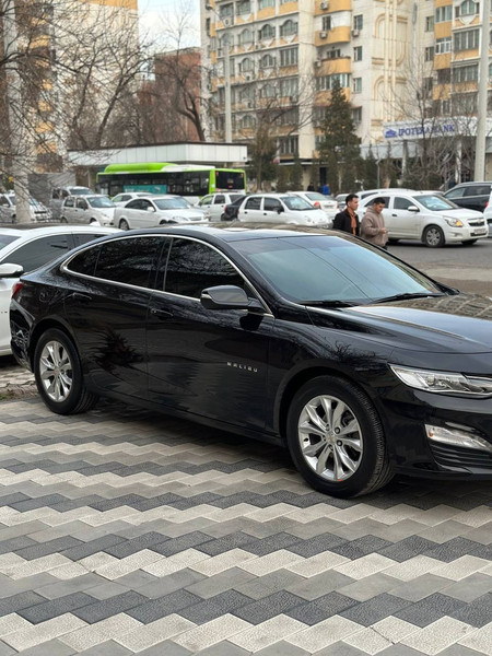 Rent a Car _ avto arenda _ ijaraga moshina