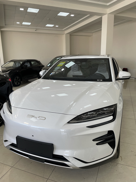 Byd Song Plus Champion