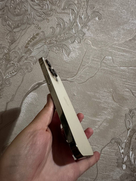 Iphone 14 pro max 256 gb gold