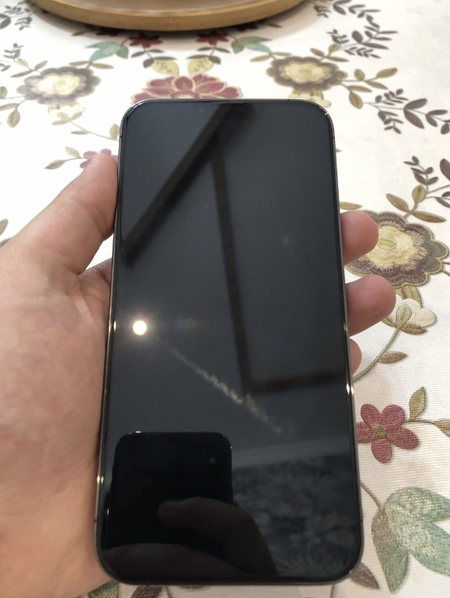 Iphone 13pro max