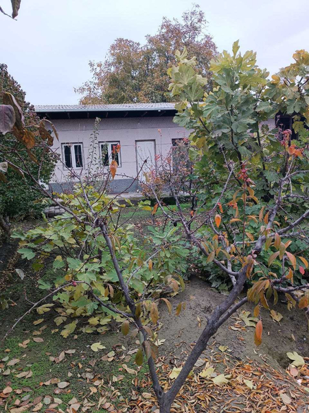Ховли уй сотилади.