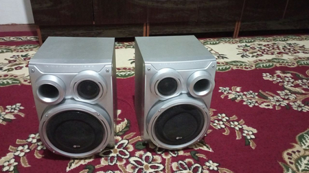 Muzikalni sentir LG kalonkalari faqat