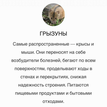 Дезинфекция дизинфекция Уничтожение клопов Dizinfeksiya Dezinfeksiya