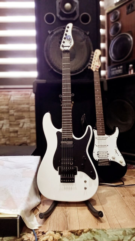 Продаю Электрогитарау 
Schecter Sun Valley Super Shredder FRS

Корпус