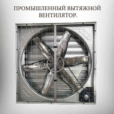 Ventlyator Teplitsa va Parranda xonalar uchun.