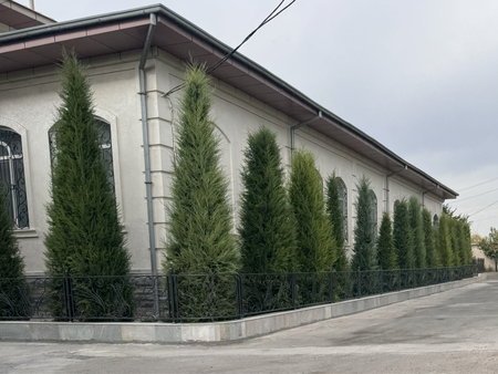 Продаётся  в Сергелинском районе дом 1,5 этажный  на 6 сотках.