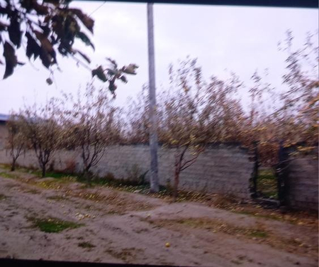 Продаётся сад 20 соток Адрес пулимигоб 1