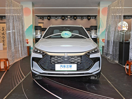 Gonzo Motors - BYD Tang Hybrid Champion