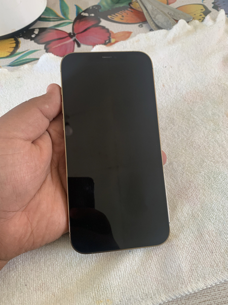 Iphone 12 pro max