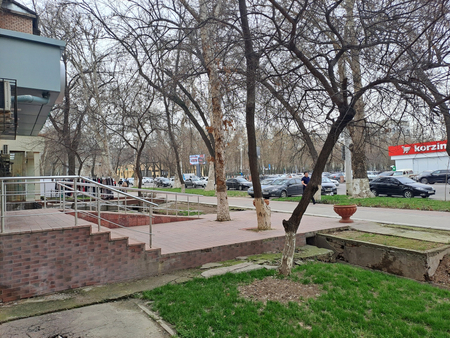 Ц-13 Лабзак 3/1/4 под любой бизнес ор-р Абай Корзина