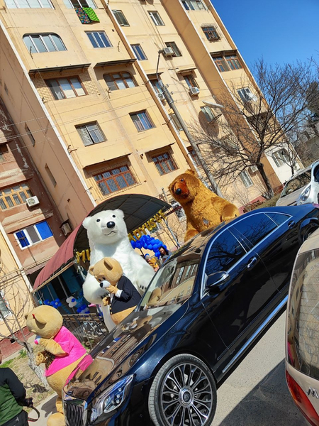 Ayiqlar va ofarmlenyalar kalonka mers maahinalar foto vidyo