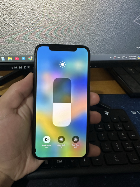 iPhone X 256 GB