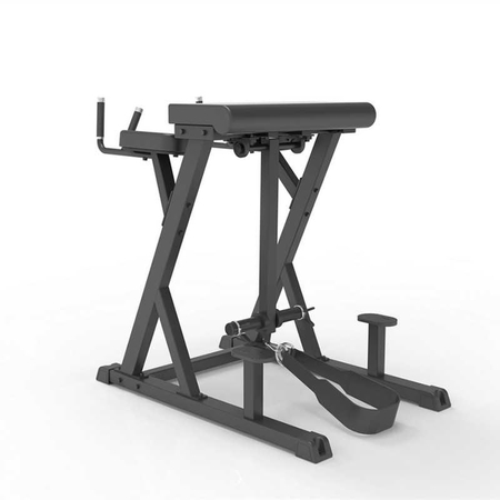 Impulse IFP1619
Обратная гиперэкстензия