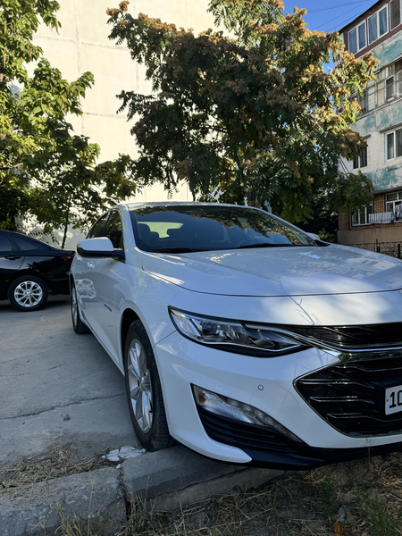 Малибу premiere