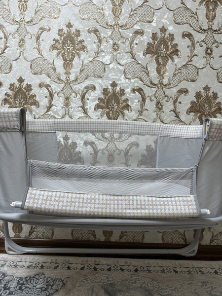 Mastela Deluxe 4 in 1 Bassinet