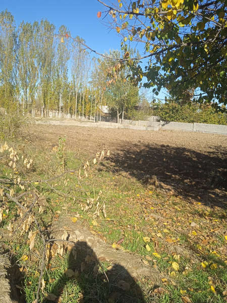 Assalomu aleykum hurmatli foydalanuvchi siz va oʻzimga omad tilayman.