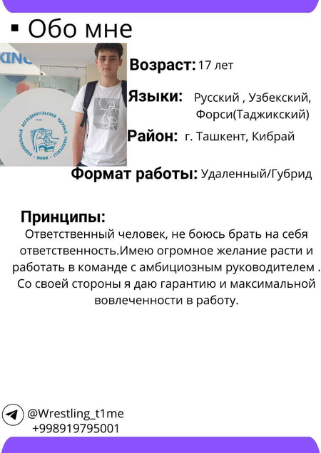 Менеджер-эксперт UZUM , аналитика , продвижение товаров , инфографика.