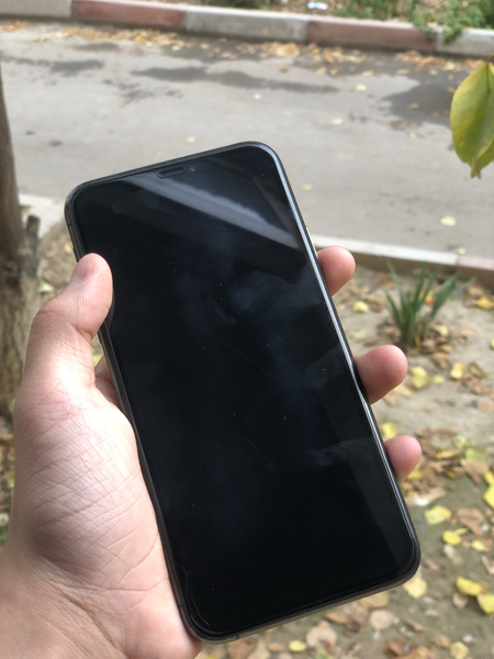 iPhone 11pro max