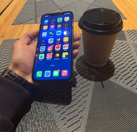Iphone 12 pro max 256