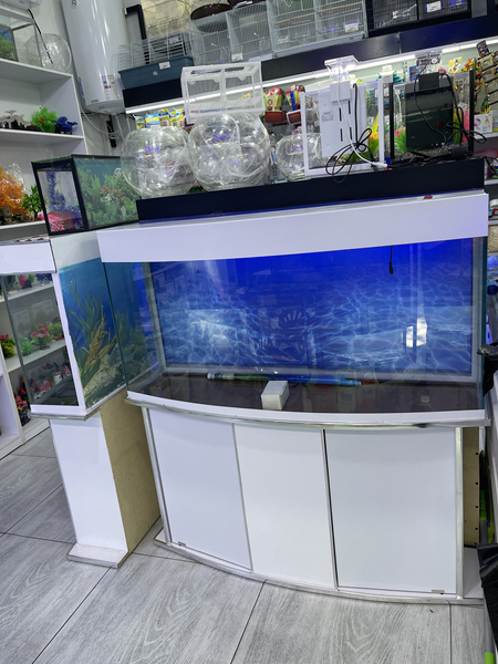 Akvarium va baliq  Doʻkoni Sergili tumanida