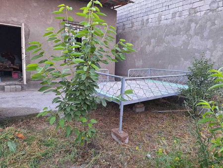 Рохат куприги, водий трасса йулида ховлича!