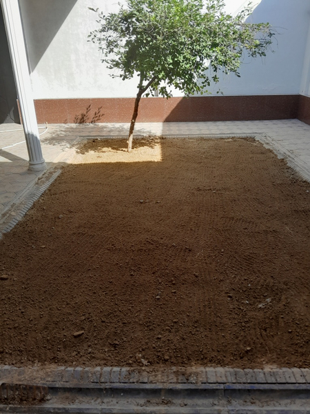 Gazon ekam sifatli va qulay