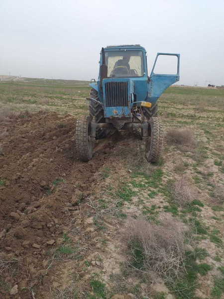 Traktor MTZ80  pilikli