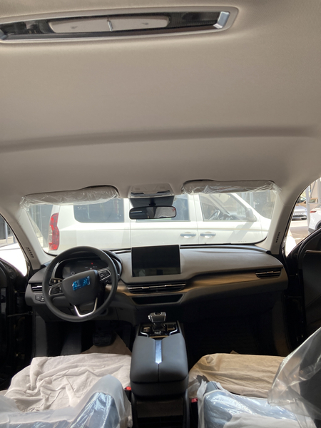 Hongqi e-qm5 nalicha