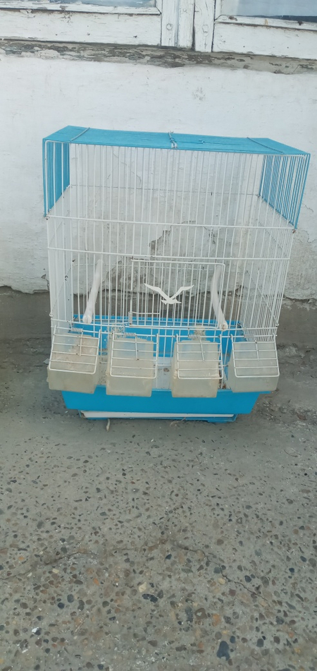 Kanareyka va papugaylar uchun kletka