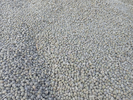 Mosh sotiladi 10000 soʻm kelishiladi
