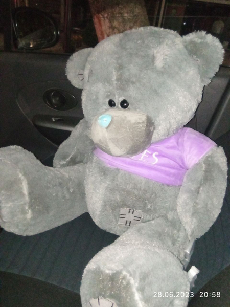 TEDDY BEAR orginal