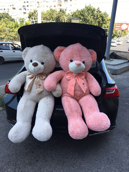 Teddy VA boshqa oʻyinchoqlar
