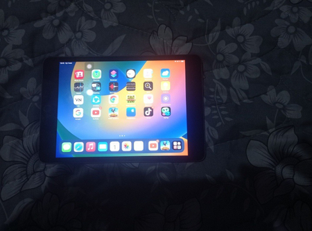 I pad mini 5 srochno pul zarul