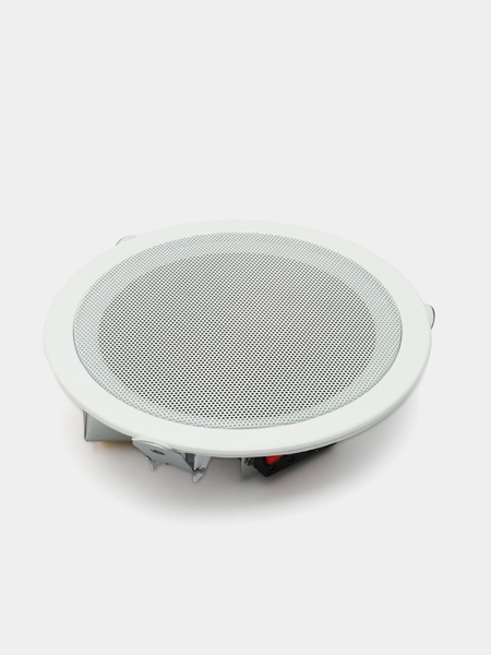 Динамик 10W  M-548